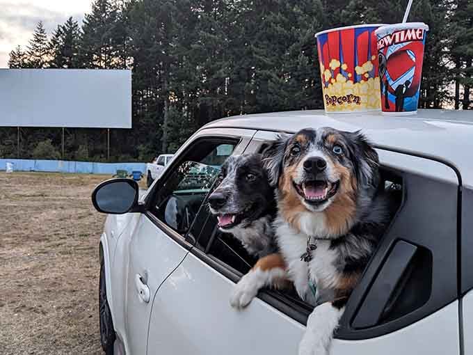 These furry critics give the Rodeo Drive-In two enthusiastic paws up for their pet-friendly movie policy.