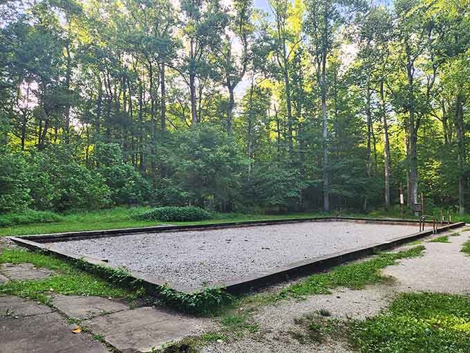 The old swimming pool now holds only leaves and memories, proving nature always gets the last laugh.