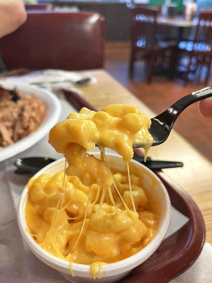 Mac and cheese so creamy it stretches like it's auditioning for a mozzarella commercial, pure comfort in a bowl.