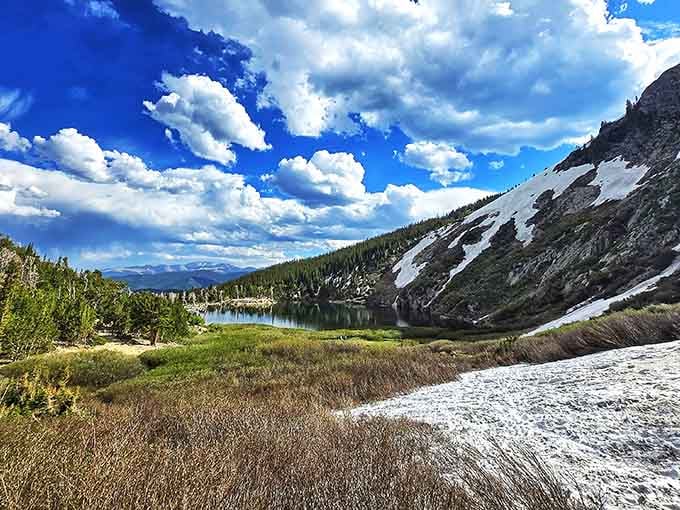 Late summer reveals the snowfield in all its glory, proving that Colorado doesn't follow normal seasonal rules.