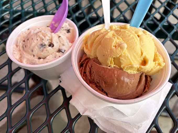 Three scoops of pure joy sitting pretty in a cup, because sometimes life requires multiple flavors simultaneously.