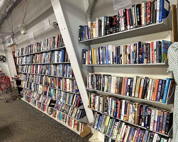 Enough books to stock a small library, organized so well you might forget you're in a thrift store.