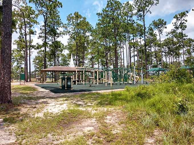 The playground sits among pines while cottages dot the background, proving family fun doesn't require theme park admission prices.