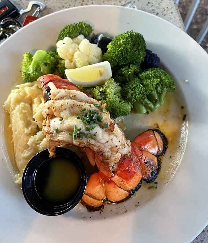 Lobster tail paired with mashed potatoes and fresh vegetables proves fancy doesn't have to mean fussy dining.