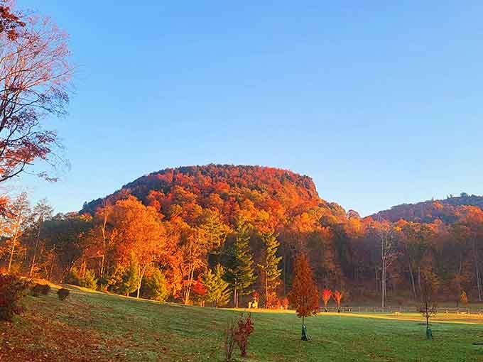 The sleeping giant shows off his best side when draped in October's finest gold and crimson.
