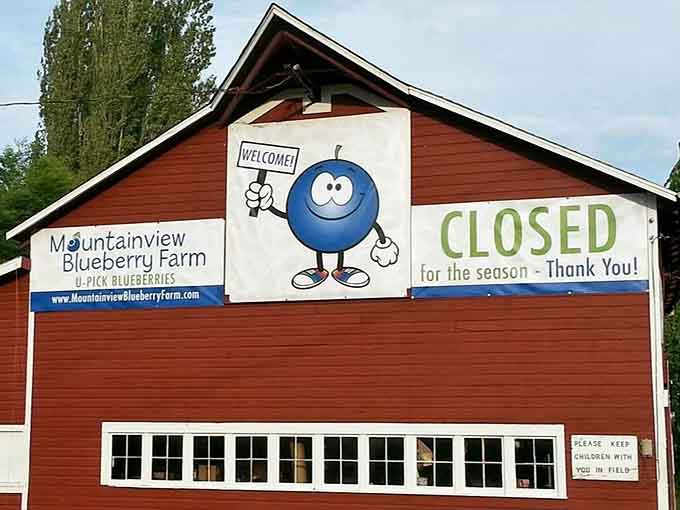 Local farms add agricultural charm to the area, proving there's more to discover beyond the antique shops downtown.