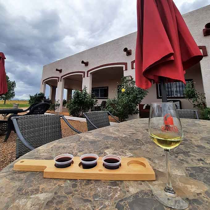 Flight tasting on the patio lets you sample multiple wines while pretending you're a sophisticated wine critic.