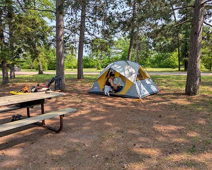 Camping here means waking up to bird songs instead of traffic, a fair trade indeed.