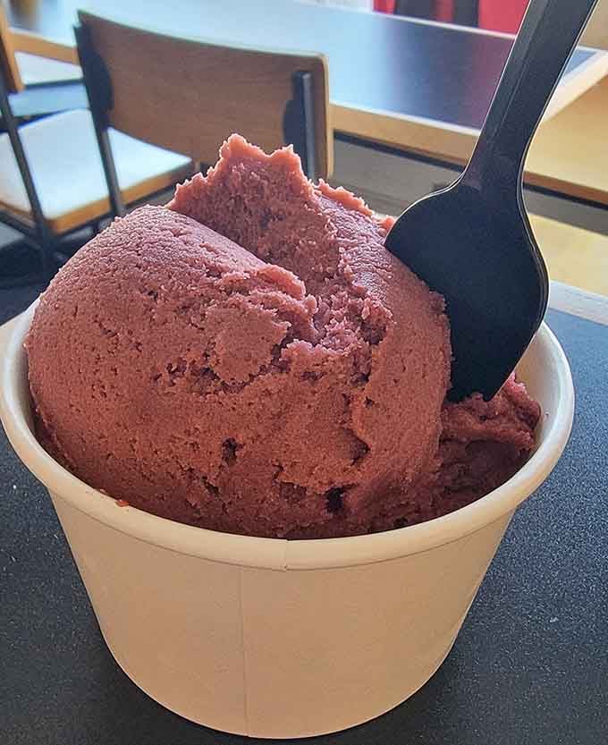 Rich chocolate ice cream that proves the best desserts don't need fancy names or complicated descriptions.