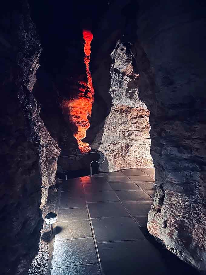 Pathways designed for exploration, not extreme sports, because some of us prefer our adventures accessible.