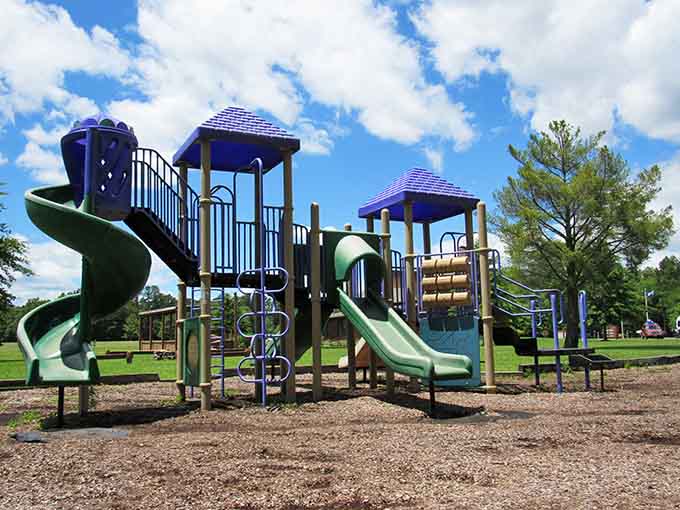 Modern playground equipment proving that state parks know how to keep the little ones happily exhausted.