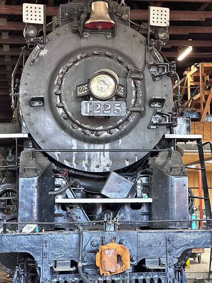 The famous 1225 sits majestically in the roundhouse, its massive boiler and driving wheels ready for another magical journey ahead.