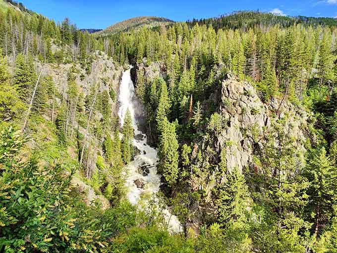 Fish Creek Falls thunders through the forest, proving nature doesn't need a soundtrack to be dramatic.