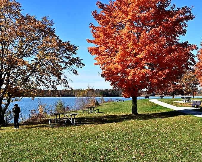These picnic spots prove that lunch tastes better when there's a chance of seeing someone catch dinner.