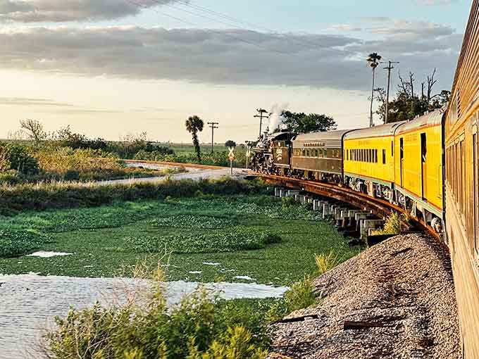 Golden hour transforms the Sugar Express into a photographer's dream as it rolls through authentic Florida countryside.