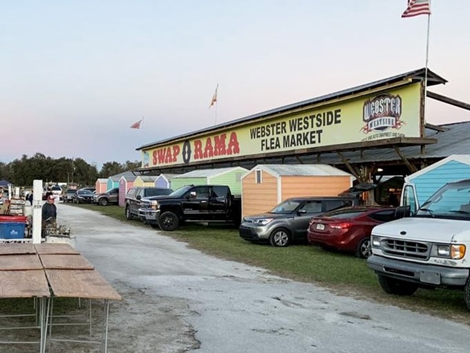 Early morning or late afternoon, those colorful sheds welcome you like old friends who always have something interesting to show.