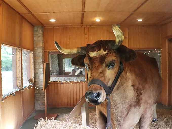Those horns and that face capture the gentle giant personality that made Old Ben a beloved Indiana celebrity.