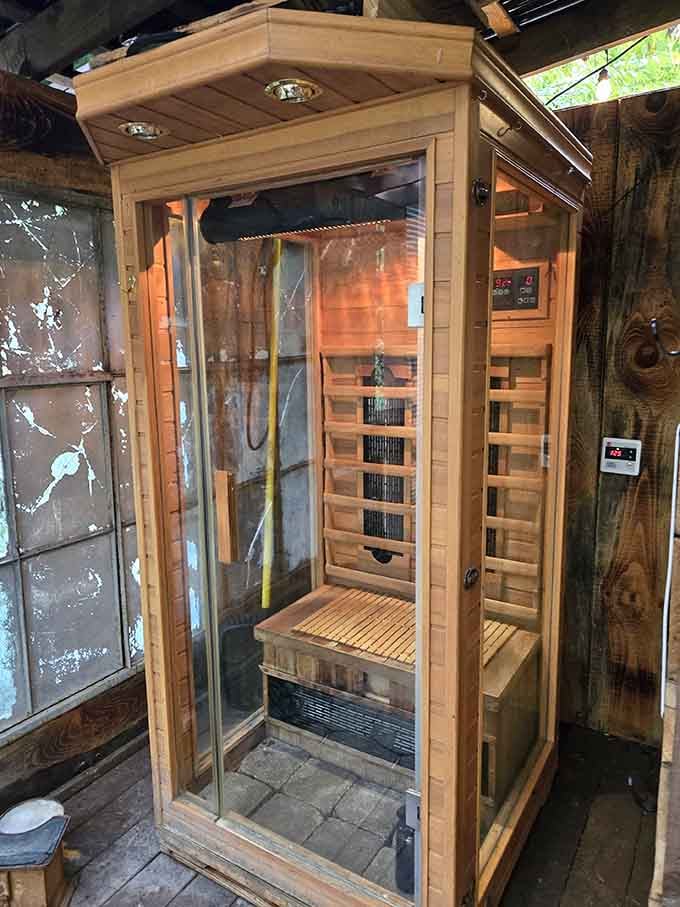Step into the infrared sauna where modern wellness technology meets old-fashioned forest tranquility perfectly.