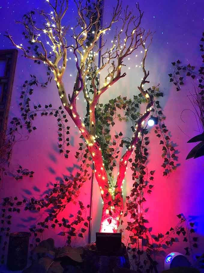 This illuminated tree installation proves that sometimes the most romantic gestures involve strategic use of fairy lights and creativity.