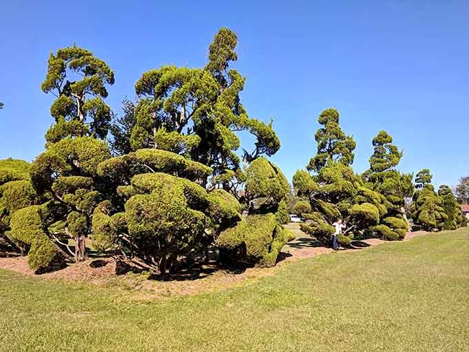 These sculpted beauties look like they're mid-conversation, discussing the finer points of photosynthesis and artistic expression.