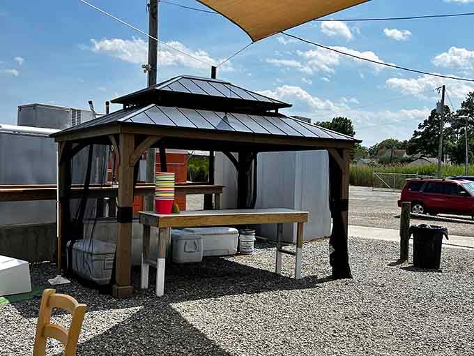 That gazebo setup proves you don't need four walls to create the perfect dining experience.