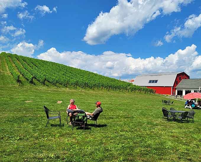 Catoctin Breeze Vineyard proves that Maryland wine country exists, and it's been hiding in these mountains all along.