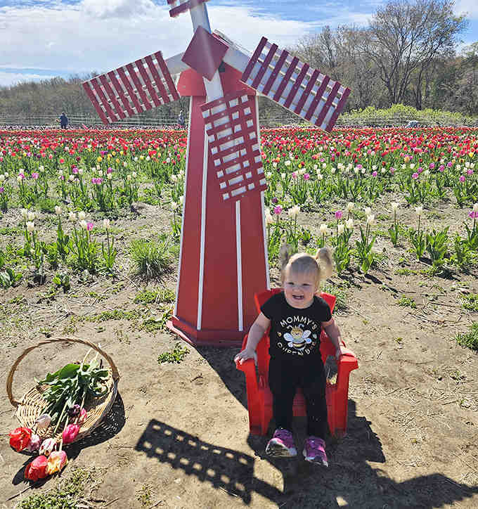 That decorative windmill photo op is basically begging you to pretend you're in the Netherlands for a minute.
