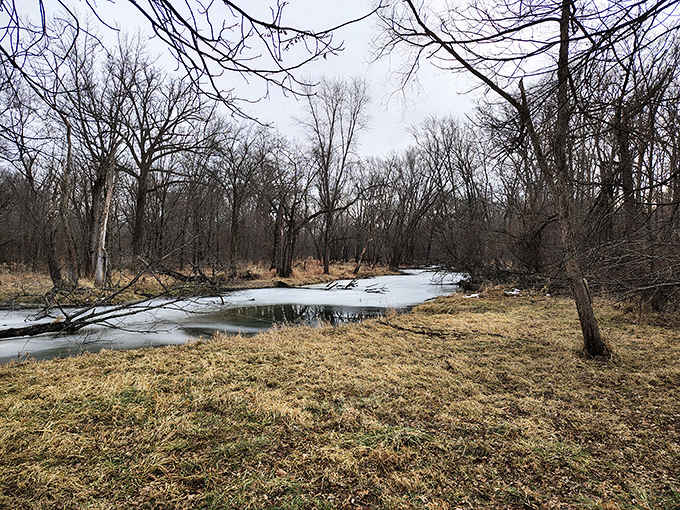 Winter at the park looks like nature hit the pause button, creating peaceful scenes worth bundling up for.
