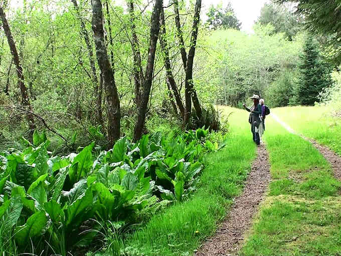 Lush trails wind through vibrant greenery, inviting you to leave your worries at the trailhead and just breathe.
