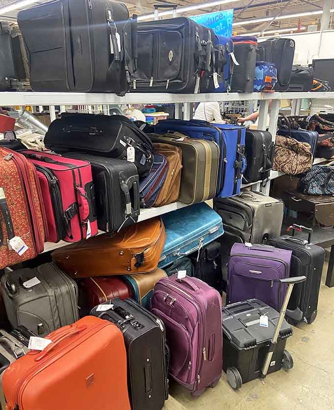Suitcases in every color wait patiently to accompany you on adventures, their previous journeys adding character you can't buy new.