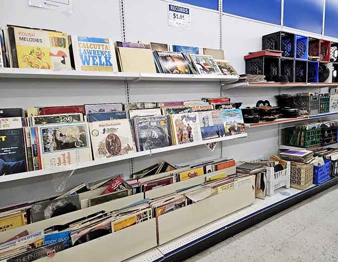 Vinyl records for the audiophiles who remember when album art actually mattered and music had physical weight.