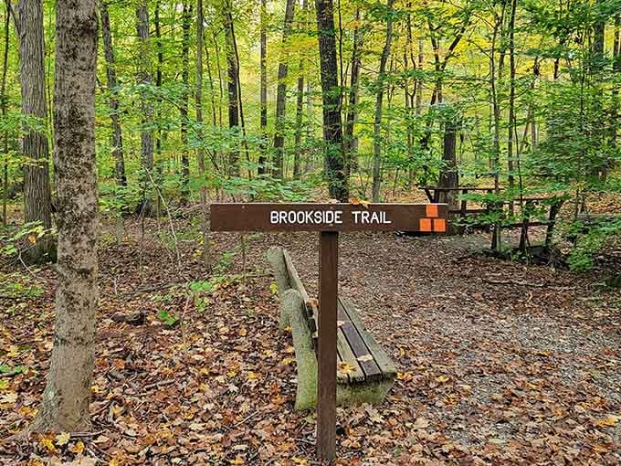 The Brookside Trail marker promises exactly what it delivers: peaceful paths where brooks babble and worries fade away.