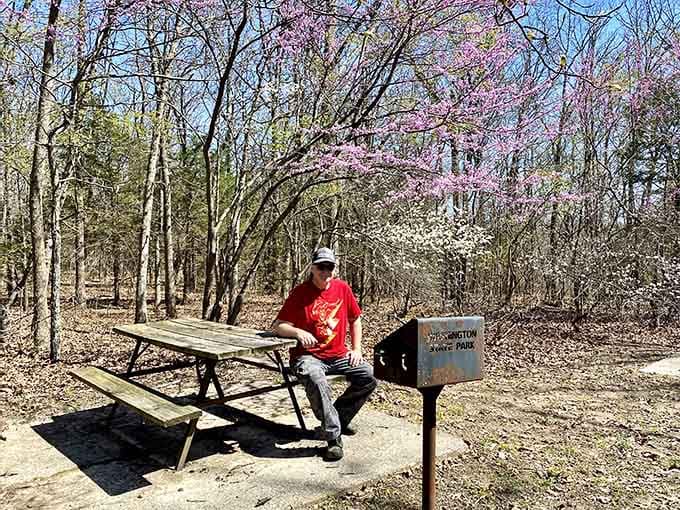 Spring blooms frame picnic spots that prove the best restaurants don't always have four walls and menus.