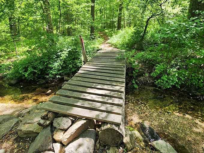 This rustic footbridge over gentle waters proves that sometimes the simplest paths lead to the most memorable discoveries.
