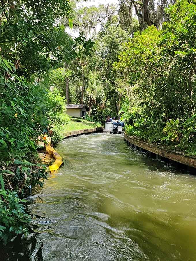 Nature's architecture on full display, proving that the best designs don't need blueprints or building permits.