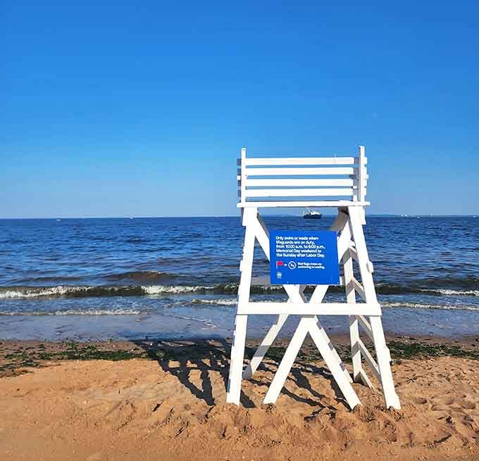That lifeguard chair stands ready like a beach sentinel, minus the dramatic soundtrack and slow-motion running scenes.