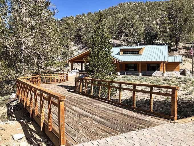 This welcoming visitor center serves as your gateway to trees older than recorded history, nestled among ancient bristlecone pines.
