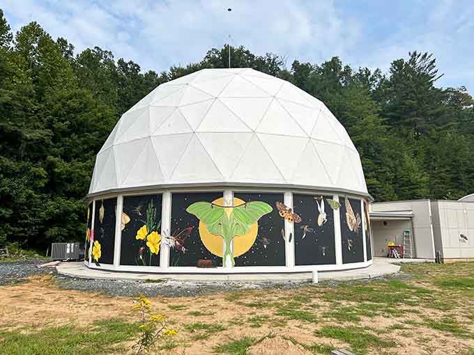 The observatory dome sits ready to reveal cosmic secrets, looking like a spaceship landed among the mountain trees.