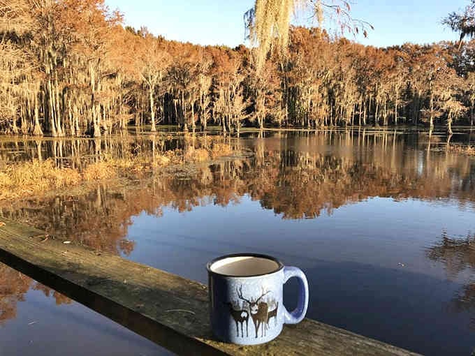 Morning coffee tastes better beside mirror-still waters reflecting moss-draped cypress trees in their golden autumn glory.
