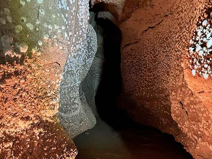 Orange cave walls glow in the light, revealing passages carved by water over countless centuries of patient underground work.