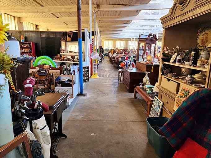 Sunlight streams through windows onto furniture arrangements that look like someone's favorite living room exploded beautifully.