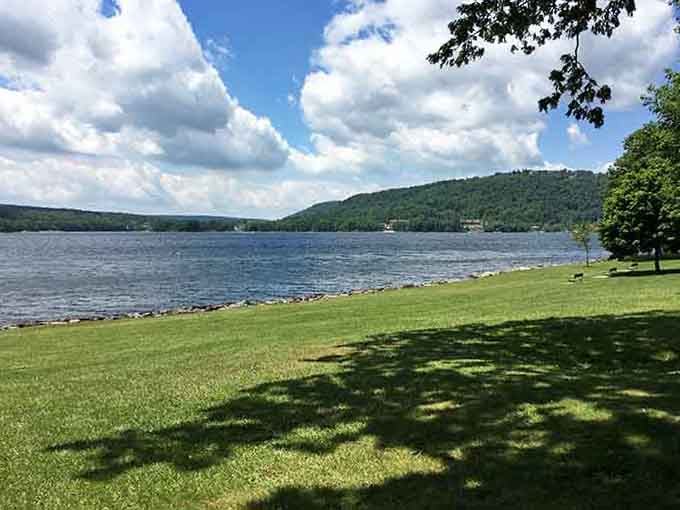 Emerald lawn meets sparkling lake under summer skies, creating the kind of simple beauty that makes you remember why you love nature.
