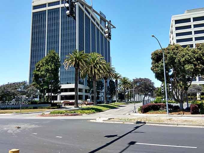 Palm trees and glass towers create an unexpected harmony where urban meets California dreaming in perfect balance.