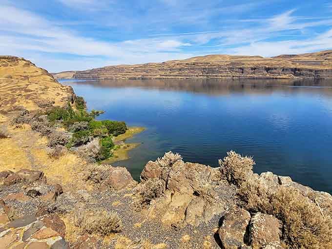 The Columbia River stretches calm and blue, bordered by golden hills that roll toward distant horizons.