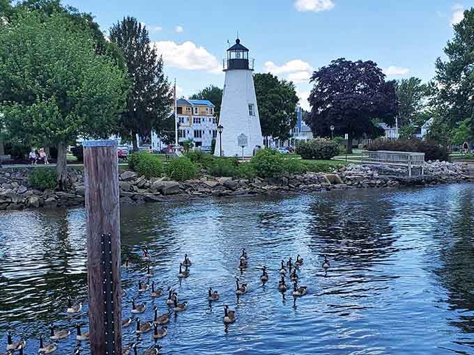 The lighthouse stands watch while a parade of geese glides past, nature's daily commute in perfect formation.