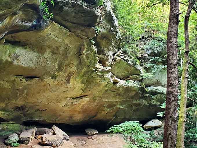 Ancient sandstone overhangs tower above the forest floor like nature's own cathedral, complete with moss-covered pews.