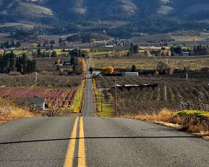 Orchards stretch toward distant mountains in perfect rows, creating a patchwork quilt of agricultural beauty below.