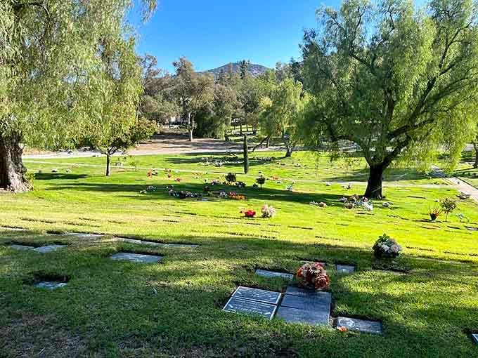 Peaceful green lawns and gentle willow trees create a serene final resting place where beloved pets sleep beneath California sunshine.