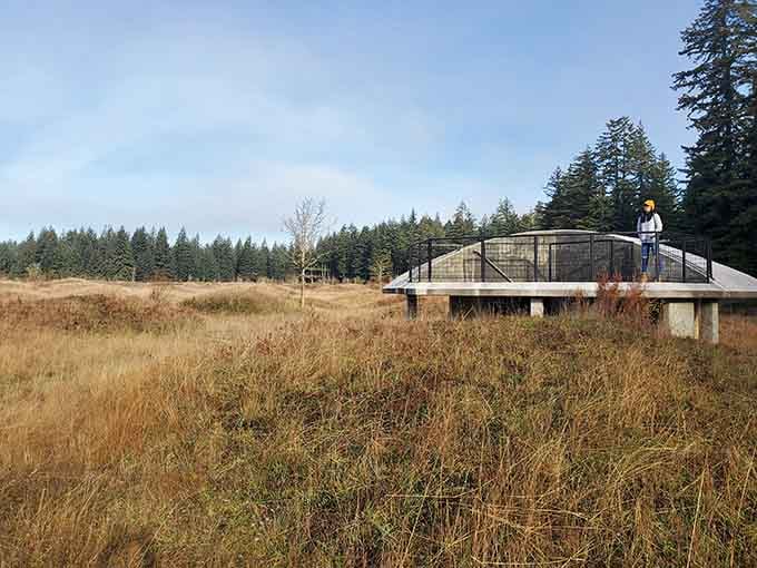 A viewing platform overlooks the mysterious Mima Mounds, where thousands of earthen domes puzzle scientists to this very day.