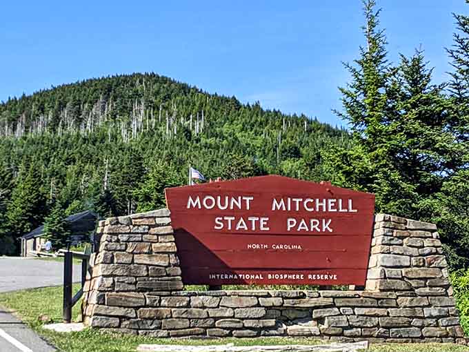 The official entrance to the highest peak east of the Mississippi, where thin air meets thick forest canopy.